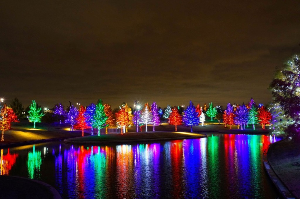 Vitruvian Lights - Townhomes of Addison